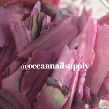 Fragmented shells 2 grams — OceanNailSupply